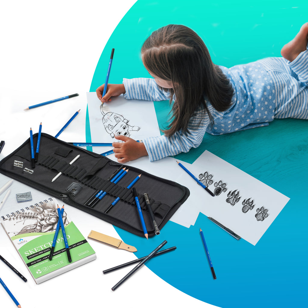 Professional Drawing and Sketch Kit - Professional Art Kit and Drawing ...